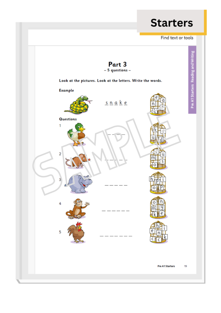 【升小】劍橋 Starters 備考及串字班 (K2/K3) - ABC Pathways